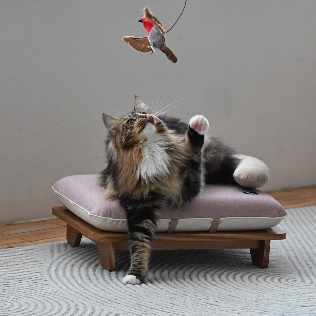 Surro - Pet Bed with Birch Wood Frame Set